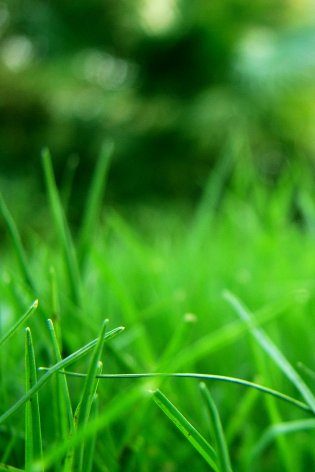 refresh_green | Audi4Addict